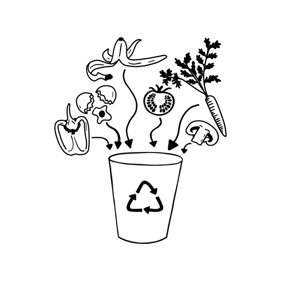 Premium 'Less Food Waste' Illustration | Sustainable Living