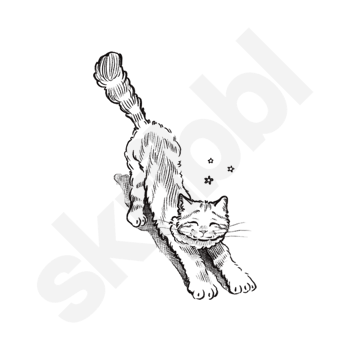 'Cats' Illustrations | Skribbl