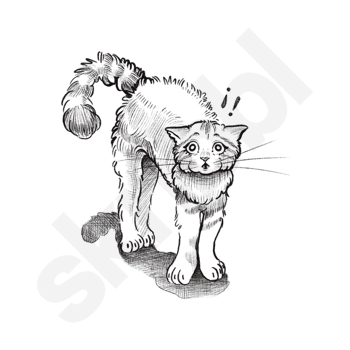 'Cats' Illustrations | Skribbl