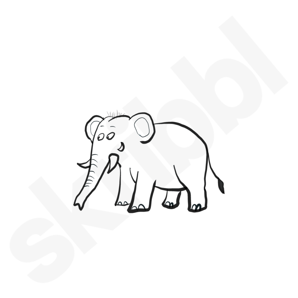 'Elephant' Illustration | Characterful Animals