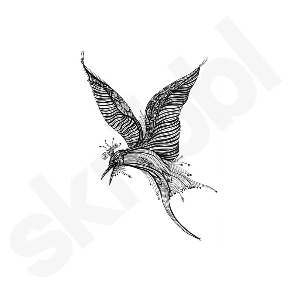 'Magical Seagull' Illustration | Winged Realms