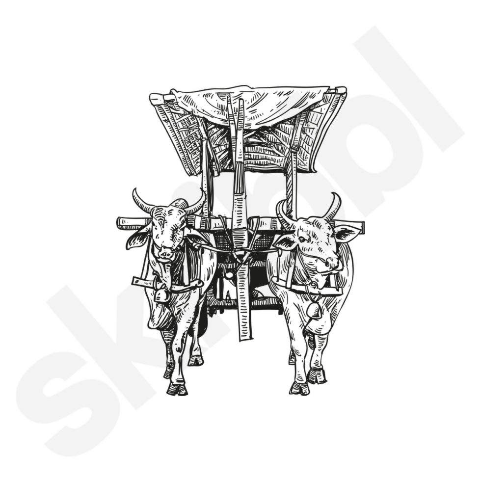 'Ox Cart' Illustration | Historic Transportation