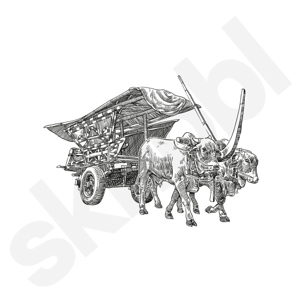 'Vintage Gerobak Sapi' Illustration | Historic Transportation