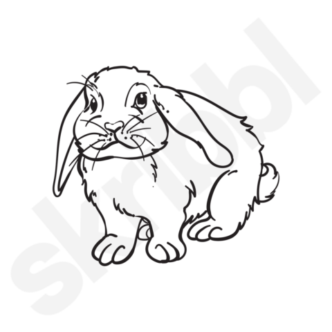 'Long-Eared Rabbit' Illustration | Rabbits